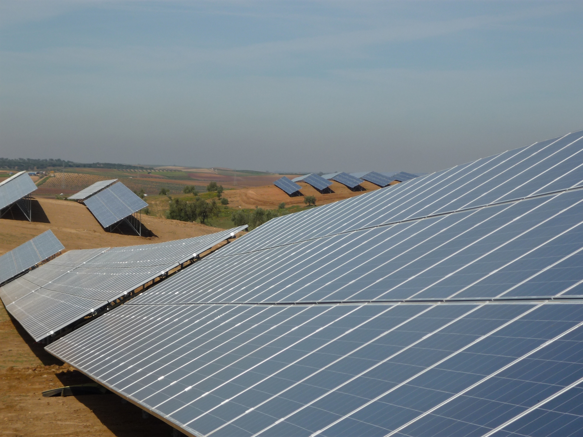 New Forest solar farm takes shape - Heating and Ventilation News