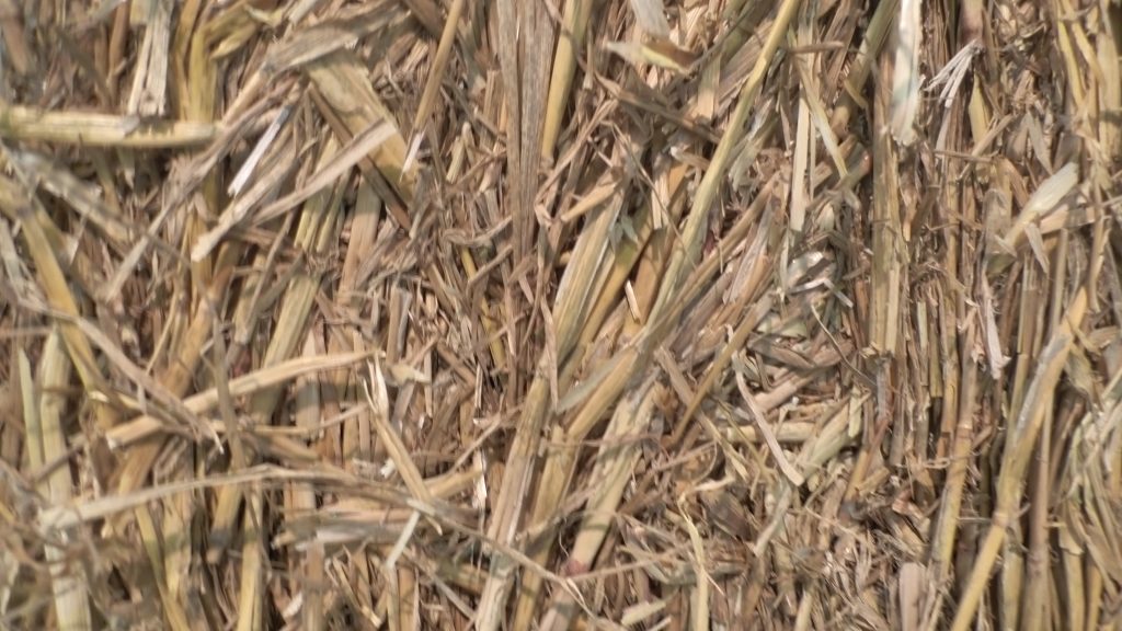 Straw fuelled biomass application announced - Heating and Ventilation News