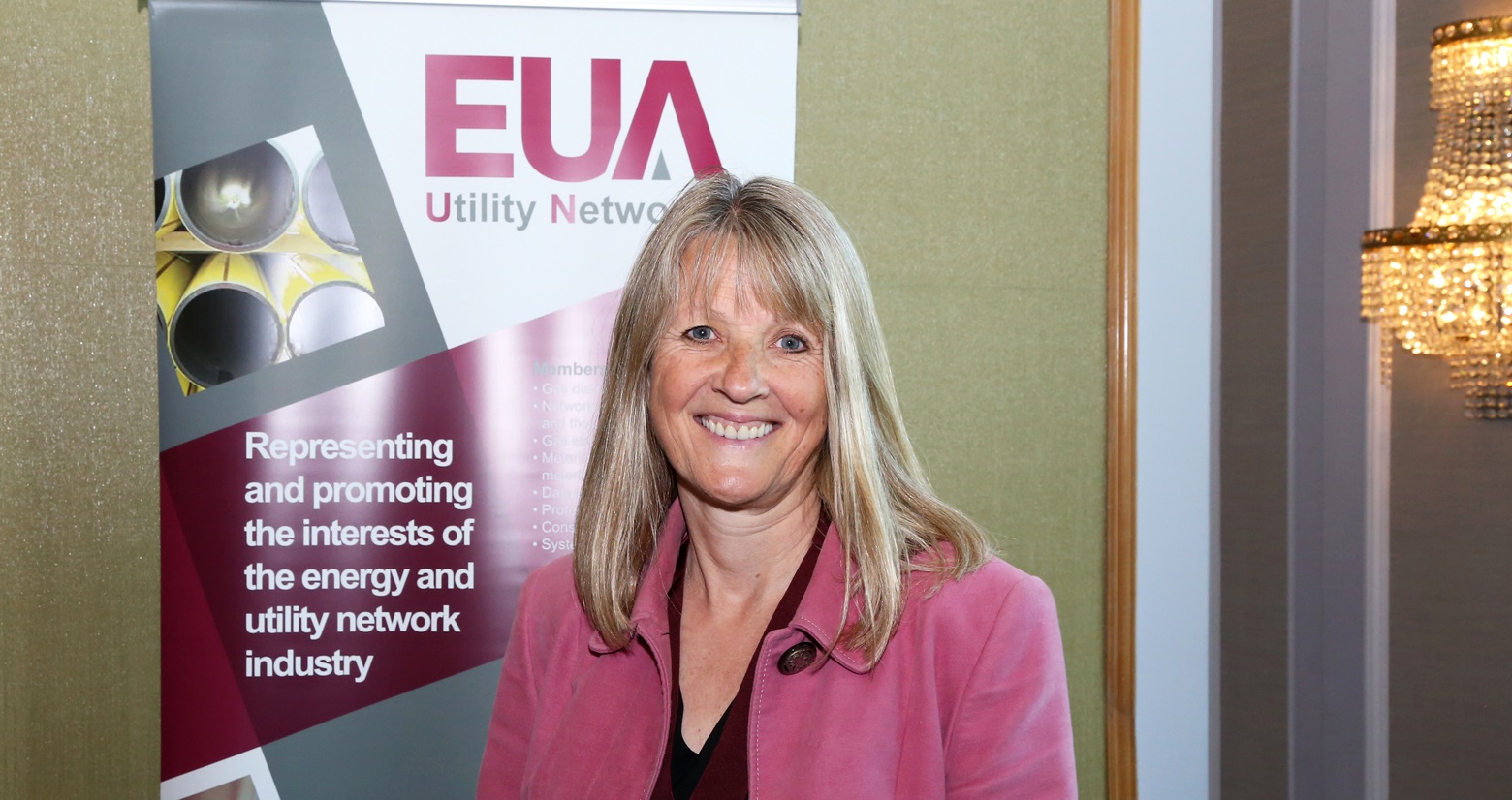Gas grid at forefront of low carbon heat agenda, new EUA head argues ...