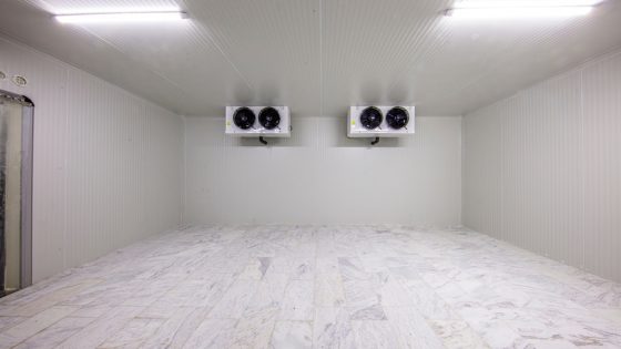 IOR issues cold store ceiling maintenance safety guidance ...