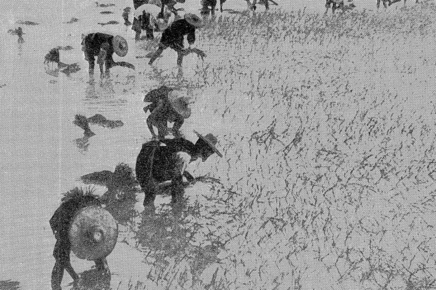 China: The Country and the People