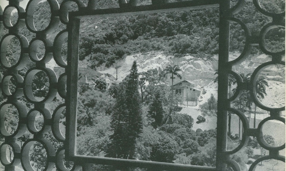 Parque Eduardo Guinle housing in Rio de Janeiro by Lucio Costa - The ...