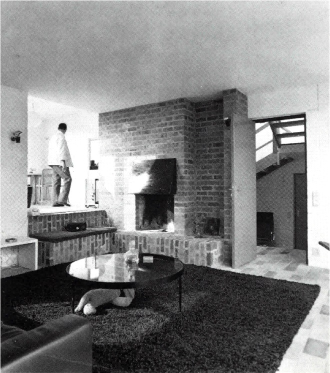 The ecological architecture of Lucien Kroll - Architectural Review