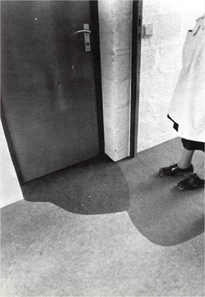 The ecological architecture of Lucien Kroll - Architectural Review