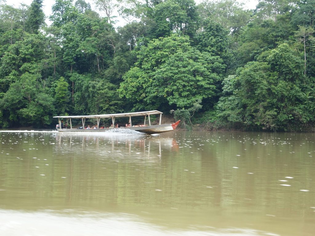 Exploring Eye: The Batek tribe of Malaysia and their architecture ...