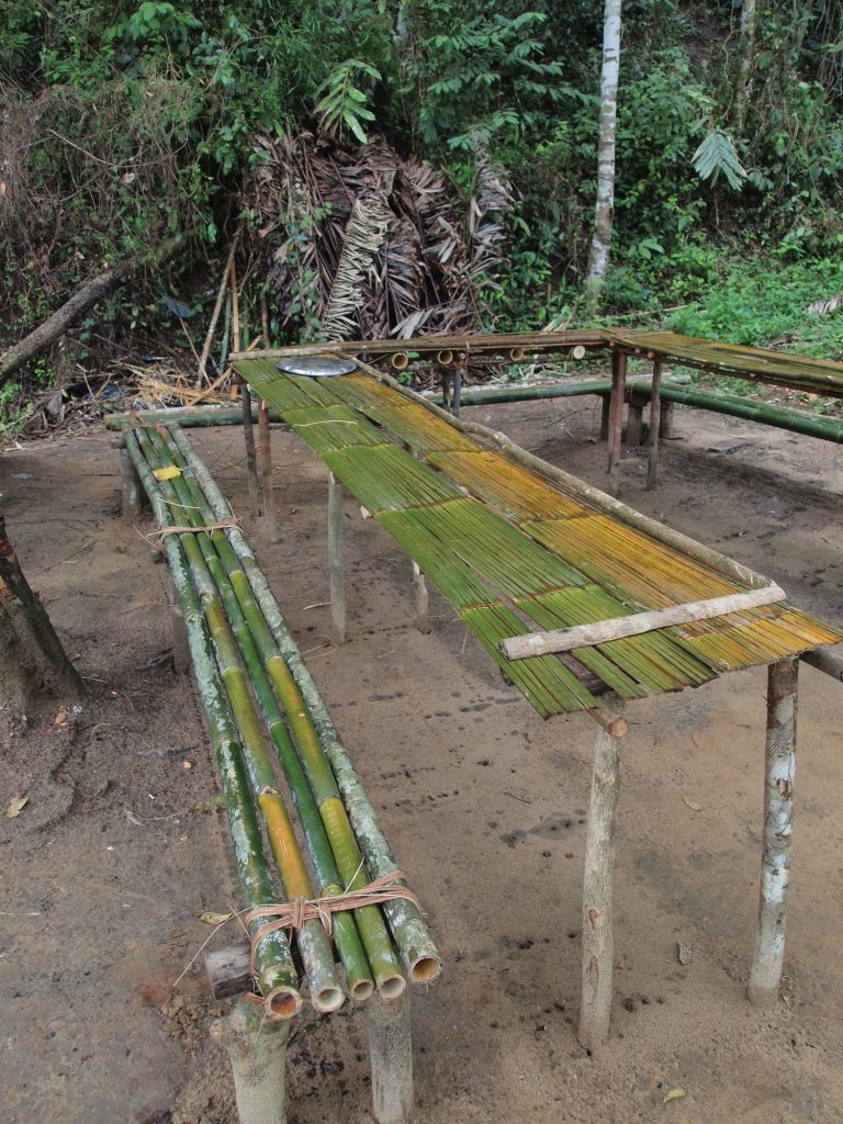 Exploring Eye: The Batek tribe of Malaysia and their architecture ...