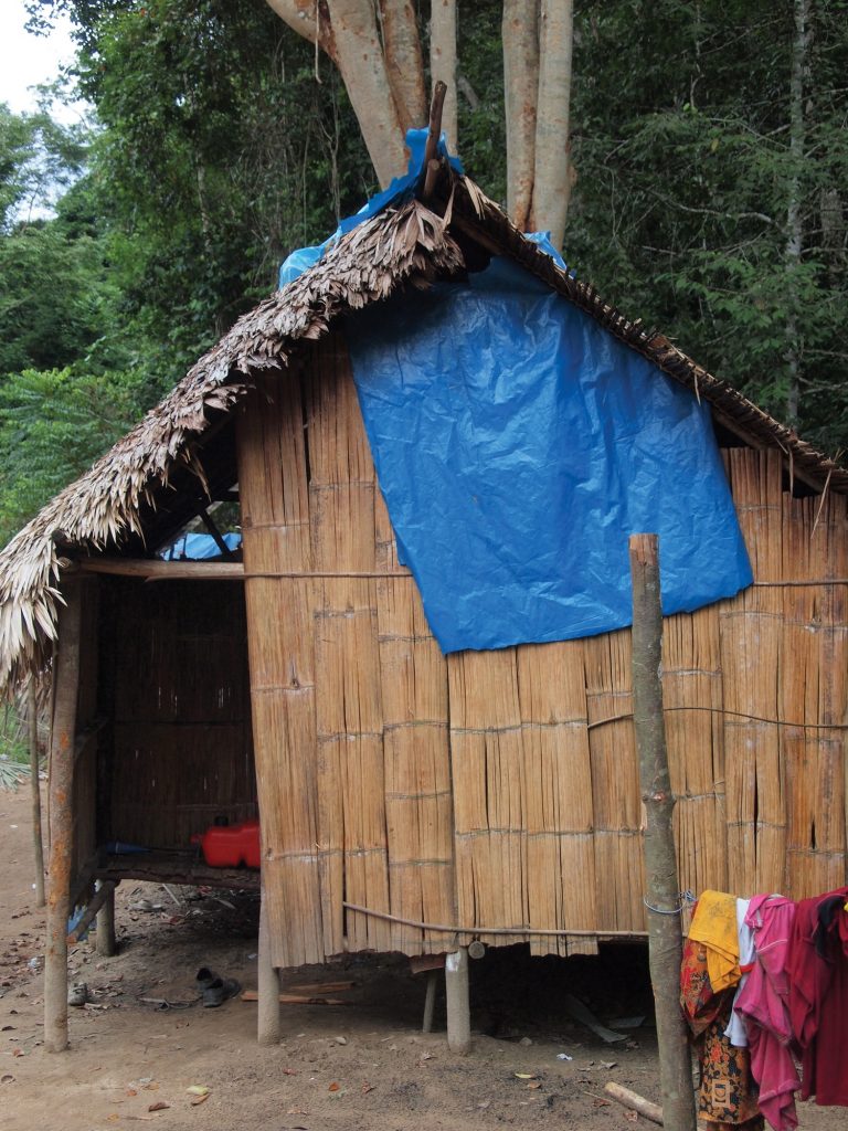 Exploring Eye: The Batek tribe of Malaysia and their architecture ...