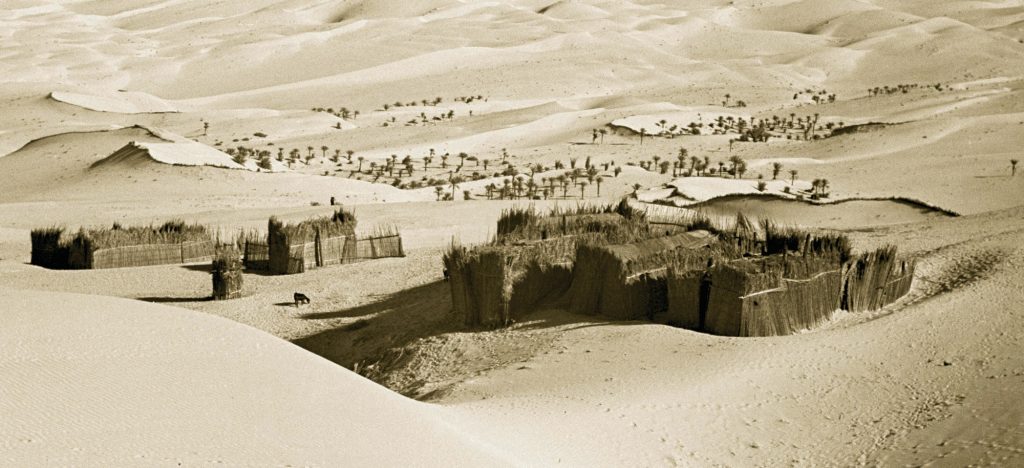 Arish House by 2 Ideas Architecture, Liwa Oasis, Rub Al Khali Desert ...