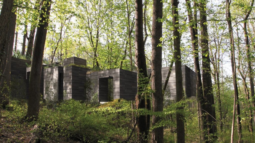 Woodstock Trees by Sebastian Mariscal Studio, New York, USA - The ...