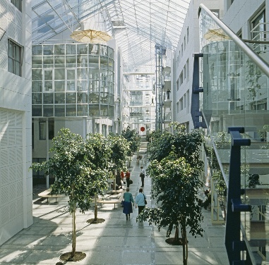 Typology: Offices - Architectural Review