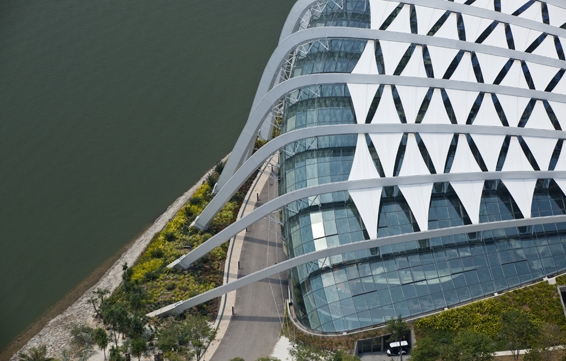 Gardens by Marina Bay, Singapore, Grant Associates, Wilkinson Eyre ...