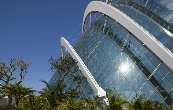 Gardens by Marina Bay, Singapore, Grant Associates, Wilkinson Eyre ...