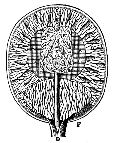 The Great Divide - Architectural Review