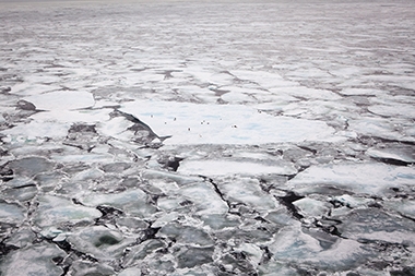 Frozen Relics: ‘In a time when everything is digital nothing really has ...