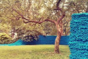 Tim Ingold, Author at The Architectural Review