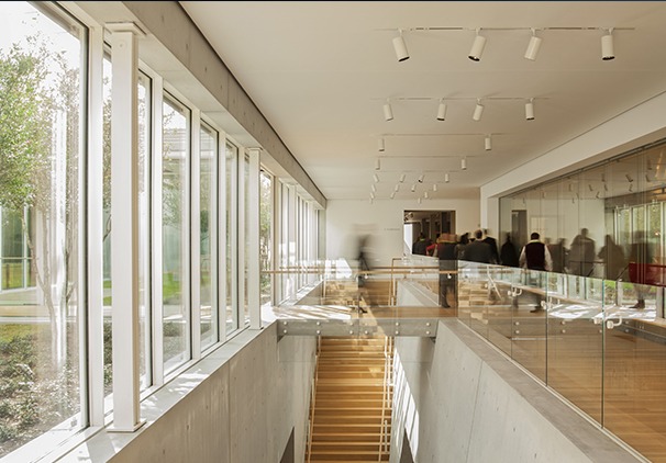 Duelling Partners at the Kimbell Museum Louis Kahn vs Renzo Piano ...