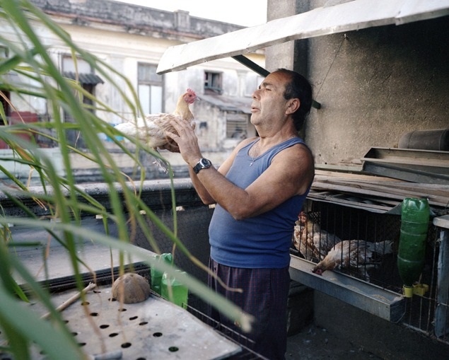 Cuba’s urban farming revolution: how to create self-sufficient cities ...