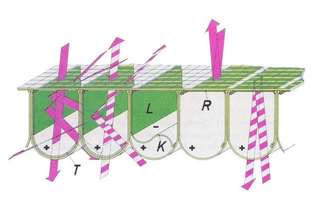 Air Apparent: Pneumatic Structures - The Architectural Review