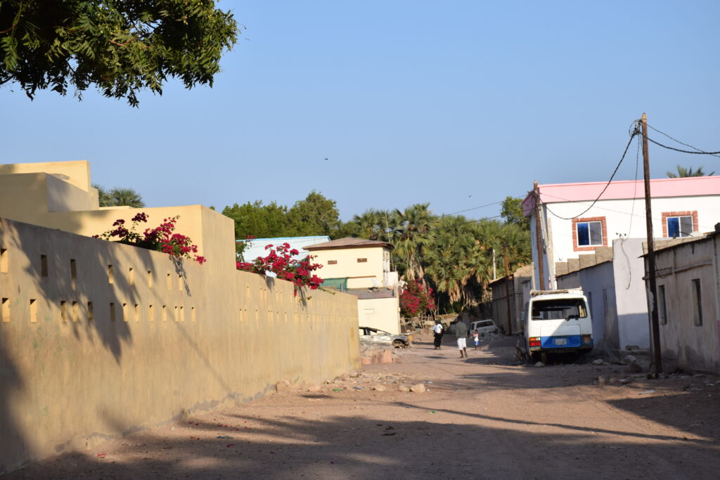 Medina morphology for large artificial family: SOS Children’s Village ...