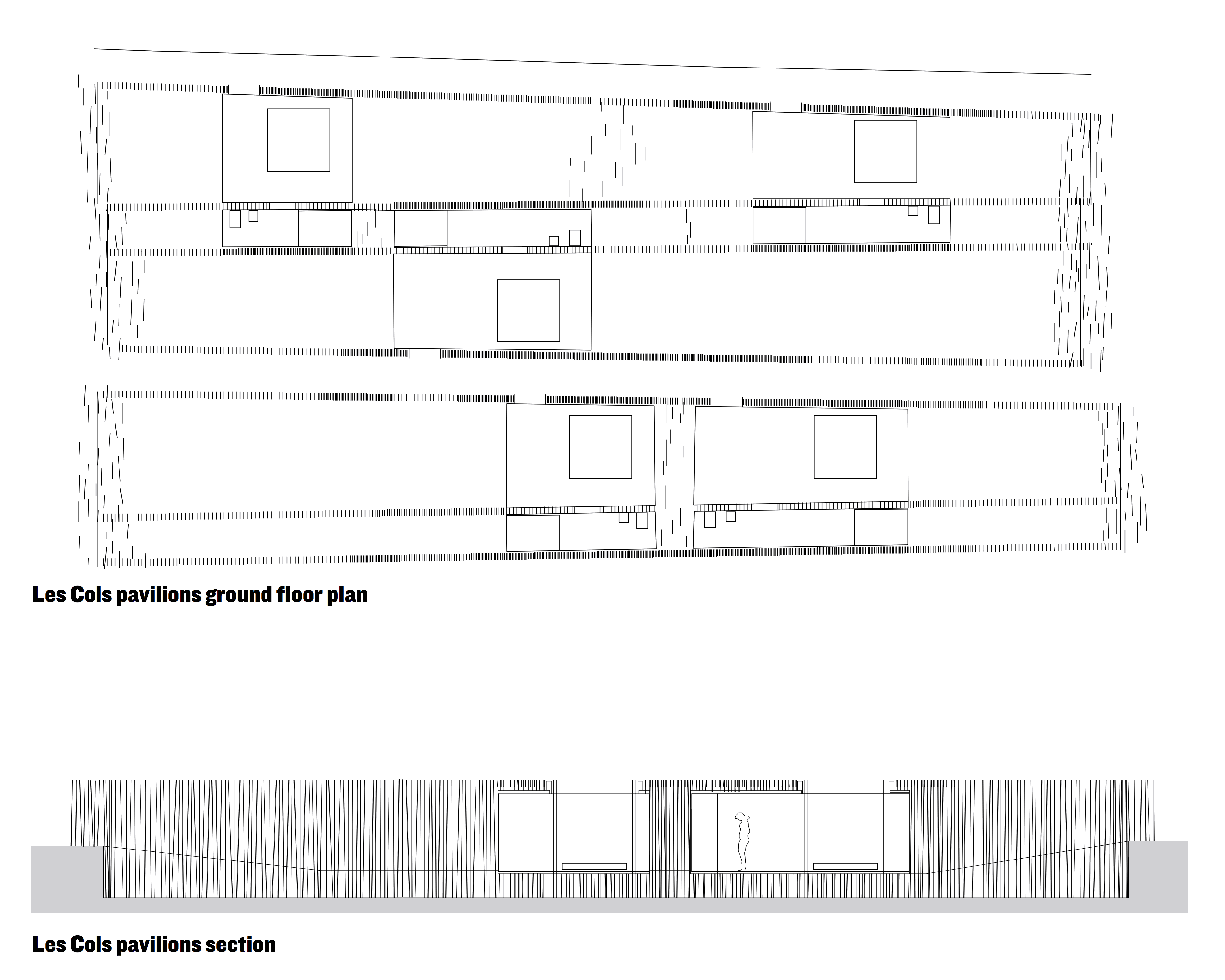 RCR Retrospective: ‘the quest for a poetic re-foundation in landscape ...