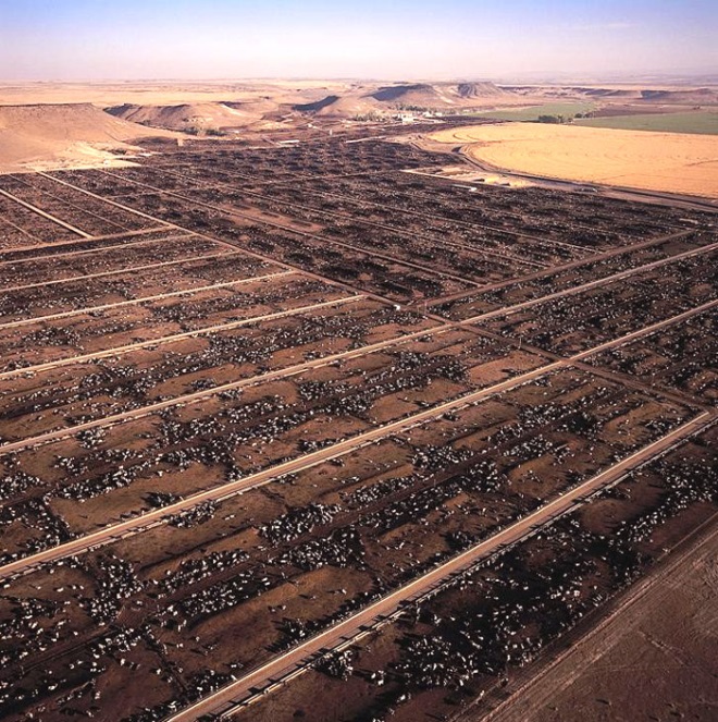 Reinventing the rural: a new perspective on our countryside ...