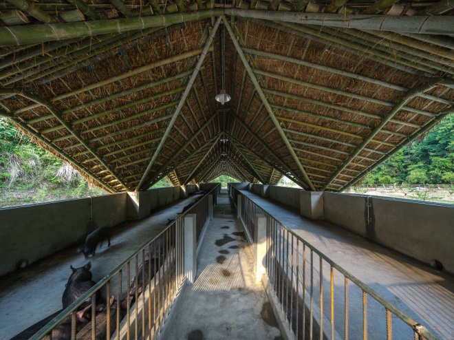 China’s shift from urban development to rural reconstruction ...