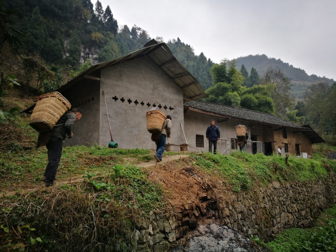 China’s shift from urban development to rural reconstruction ...