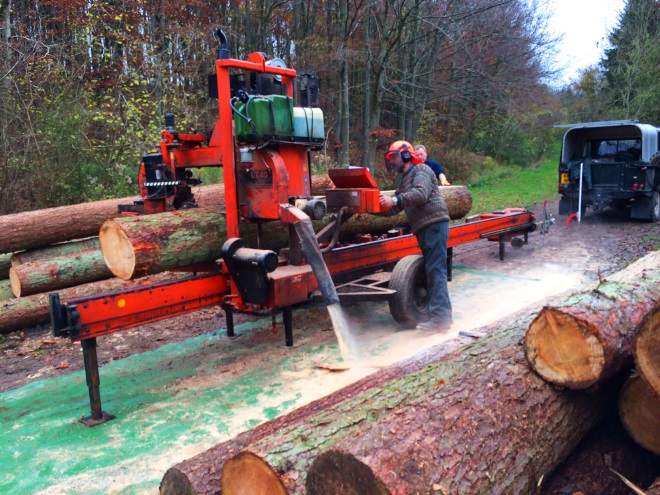 Down to earth: Woodland research and construction near Bath, UK, by ...