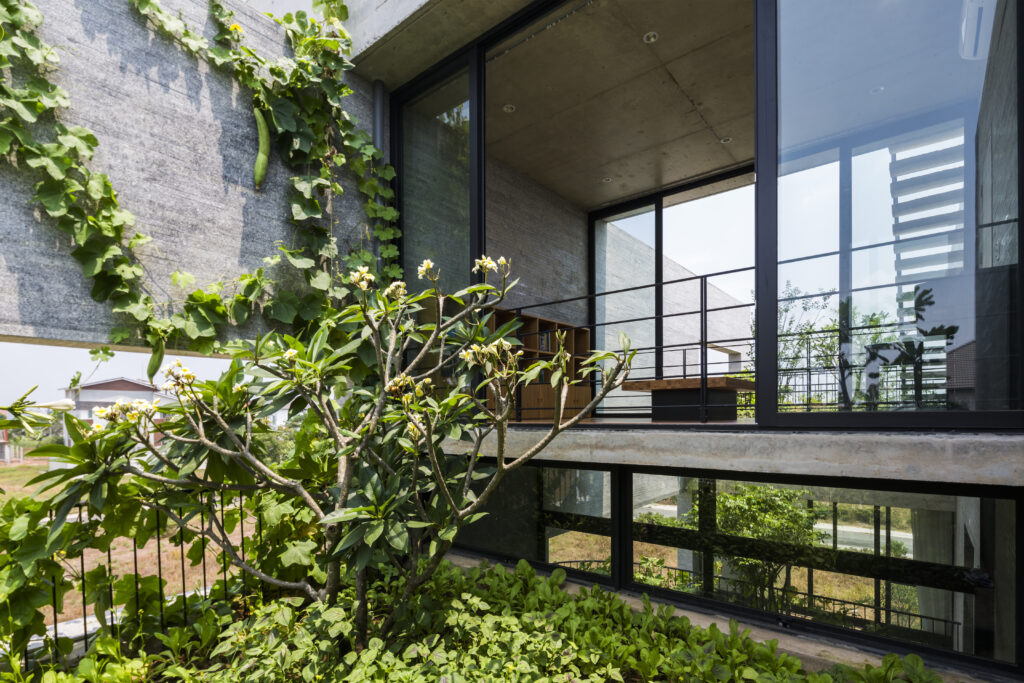 Planes and plants: Vo Trong Nghia Architects’ Binh House in Ho Chi Minh ...
