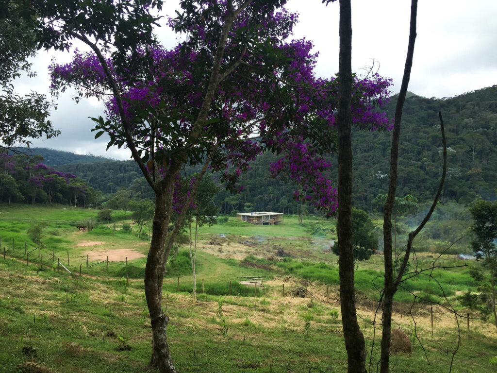 Nature nurtured: Carla Juaçaba Studio, Brazil - Architectural Review