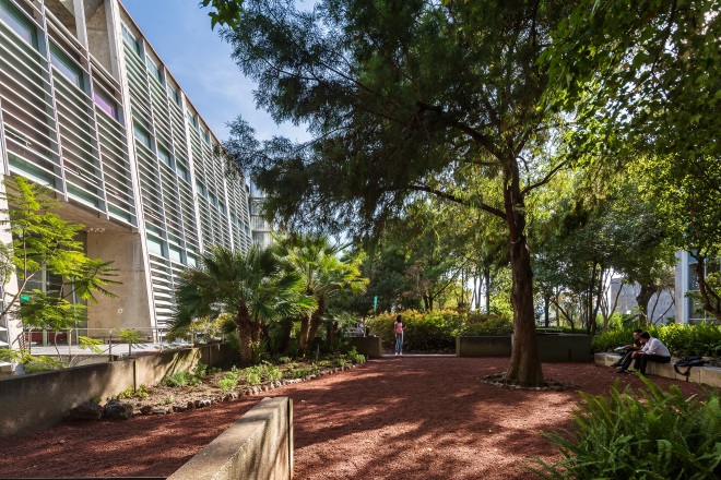 Revisit: Biblioteca Vasconcelos - Architectural Review