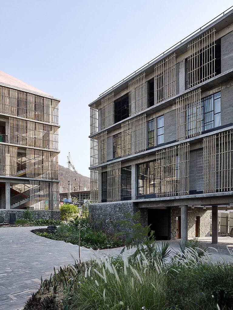 The theory of evolution: Avasara Academy, Pune, India, by Case Design ...