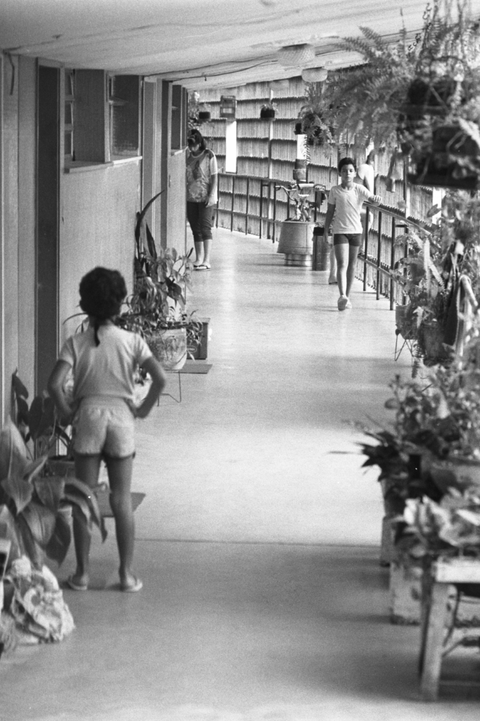 Revisit: Pedregulho housing complex, Rio de Janeiro, Brazil, by Affonso ...