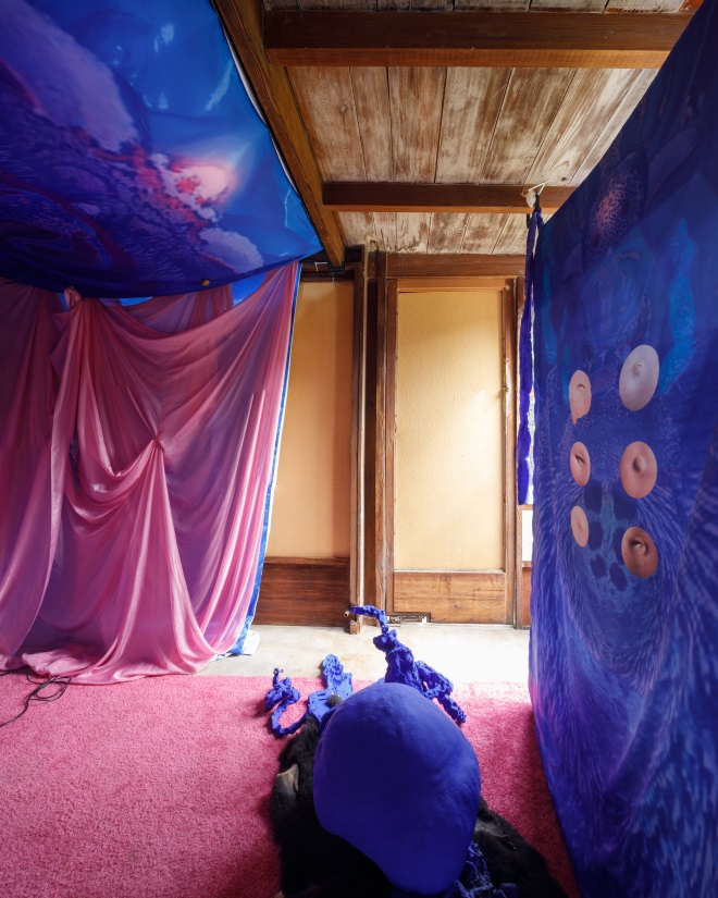 Flesh and stud: 'Soft Schindler' at the MAK Center for Art and ...