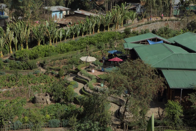 Ground control: The Zoma Museum by Meskerem Assegued and Elias Sime ...