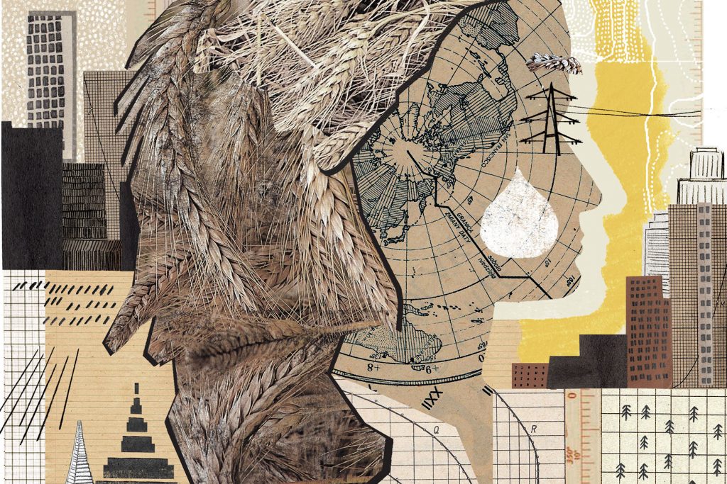 Agnes Denes (1931- ) - The Architectural Review