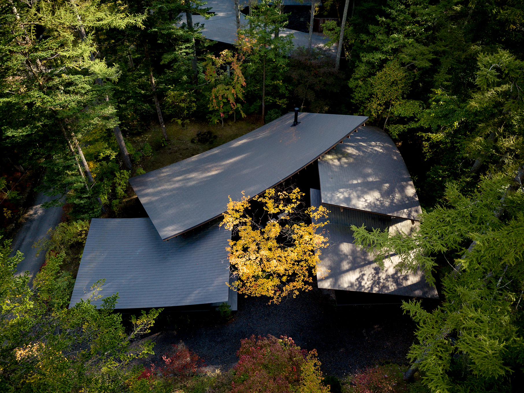 ar-house-kias-four-leaves-architectural-review-martin-holtkamp-1.jpg (1813×1360)