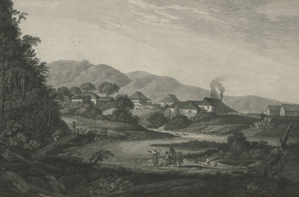 The coloniality of planting: legacies of racism and slavery in the ...