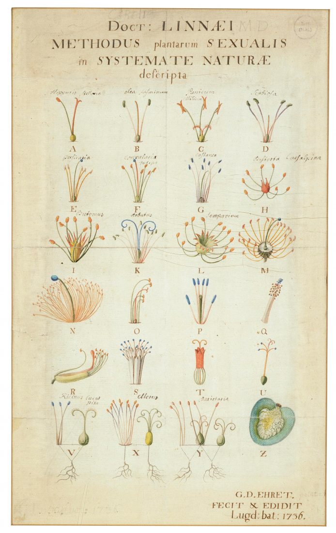 The coloniality of planting: legacies of racism and slavery in the ...