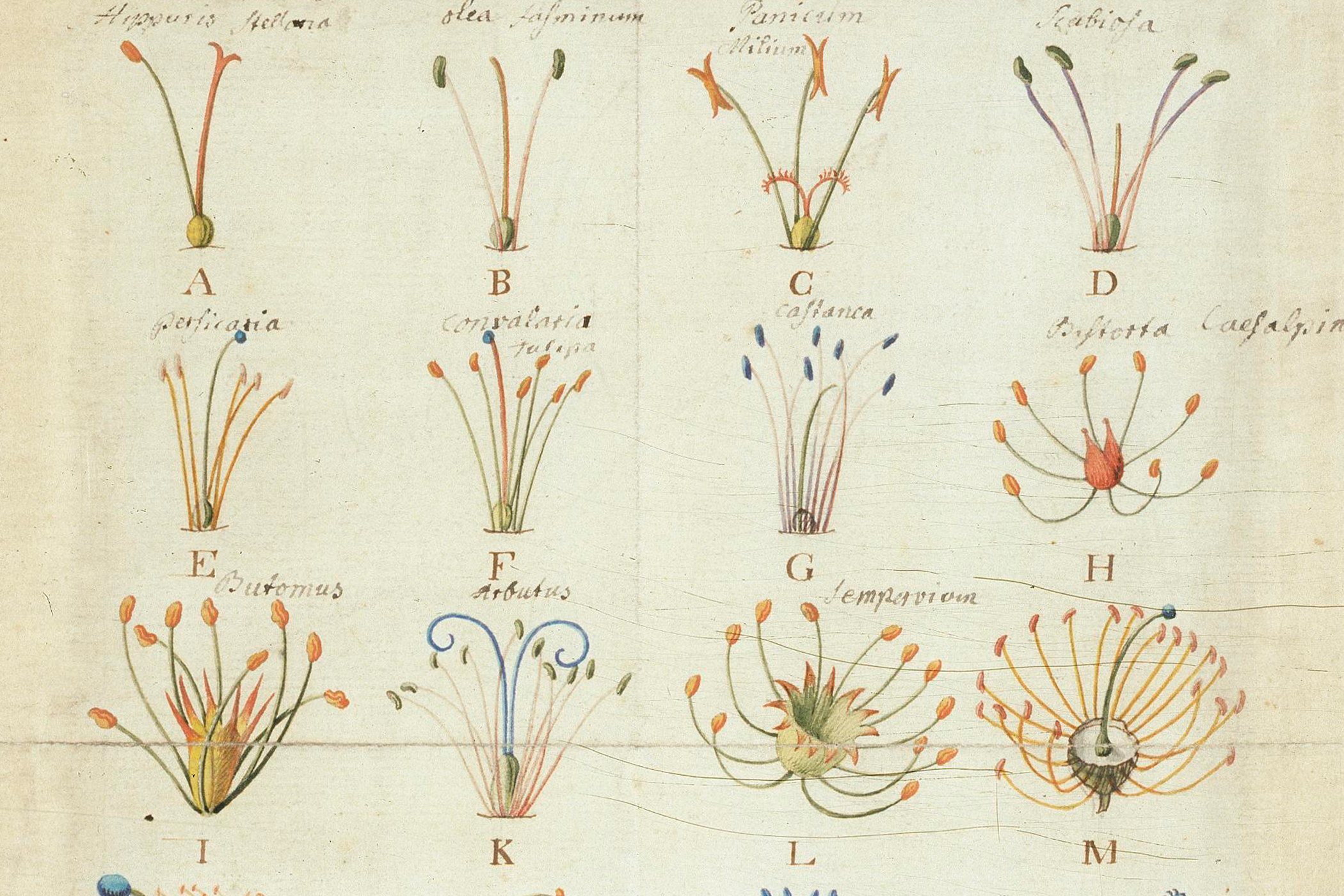 The coloniality of planting: legacies of racism and slavery in the ...