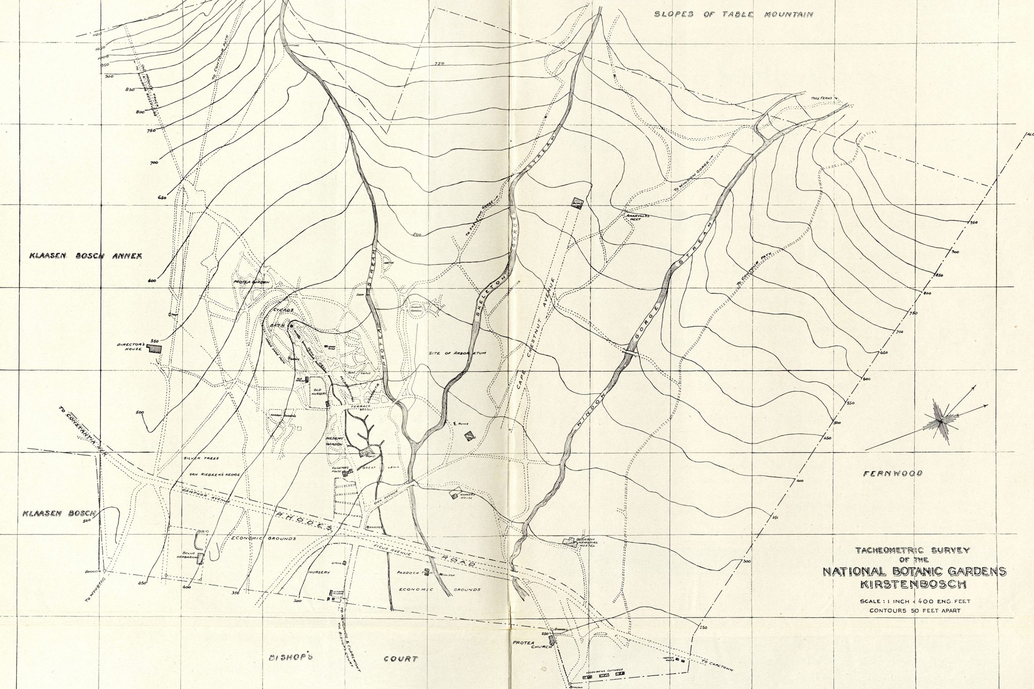 In practice: Gilles Clément on the planetary garden - Architectural Review