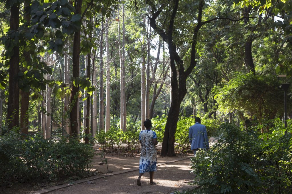 Revisit: National Park of Mali by Kéré Architecture - Architectural Review