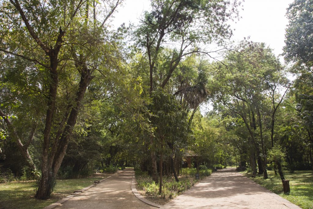 Revisit: National Park of Mali by Kéré Architecture - Architectural Review