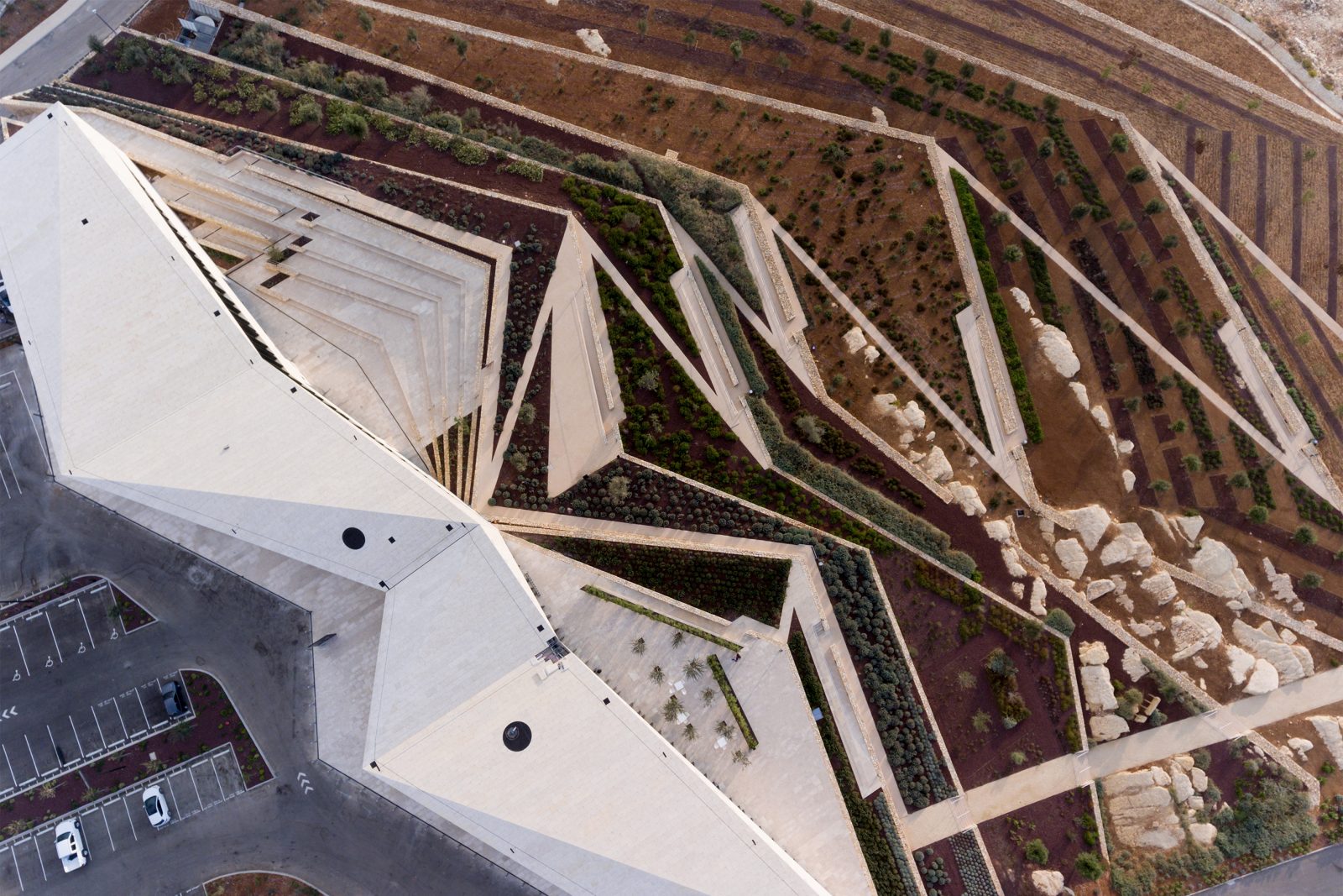 Palestine's garden walls: the deliberate destruction of Palestine's ...