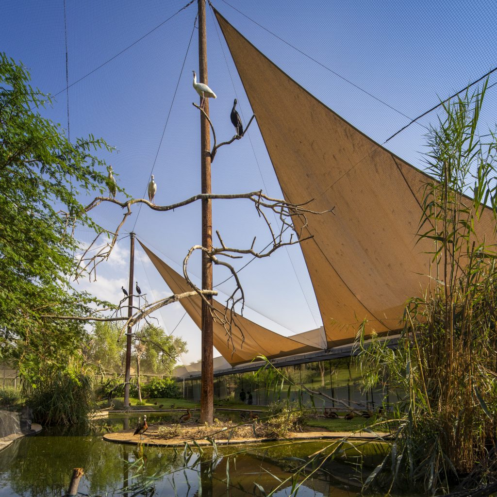 Avian oasis: Wasit Nature Reserve visitor centre by X Architects ...