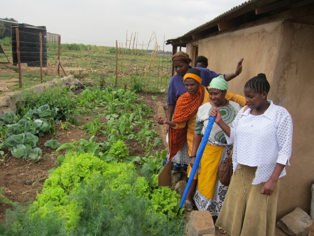 Gardens of Kibera: The Kibera Public Space Project by Kounkuey Design ...