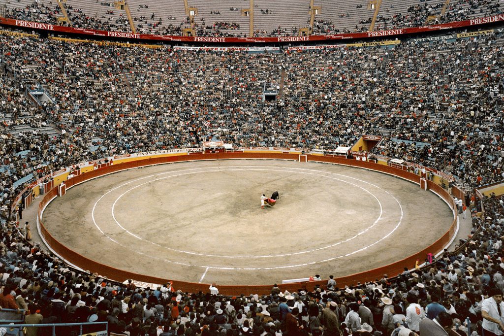 Typology: Stadium - Architectural Review