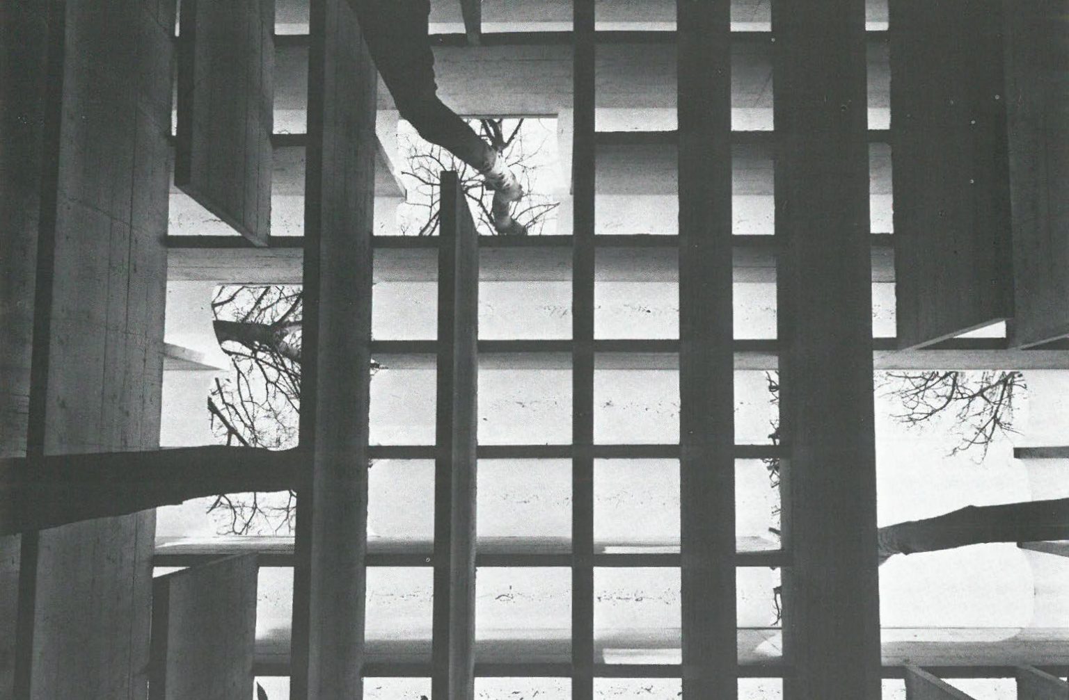 Trees and horizons: the architecture of Sverre Fehn - Architectural Review