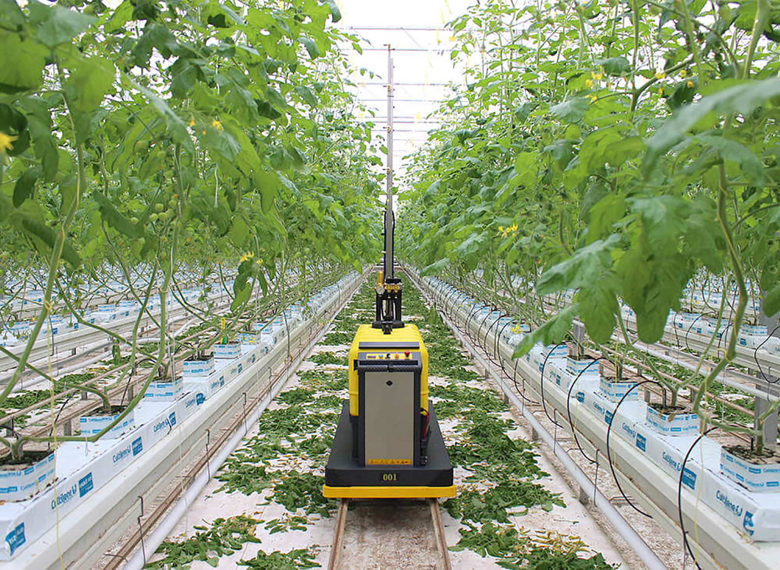 Typology: Greenhouse - Architectural Review