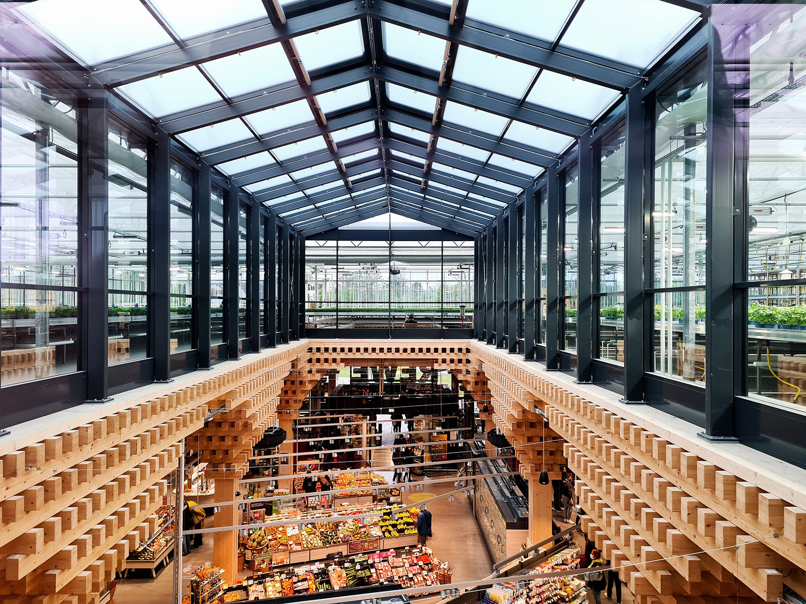 Typology: Greenhouse - Architectural Review